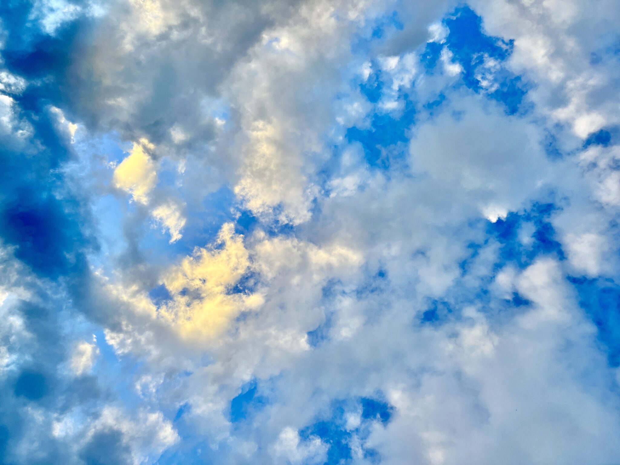 Cold Case Project of Monterey County